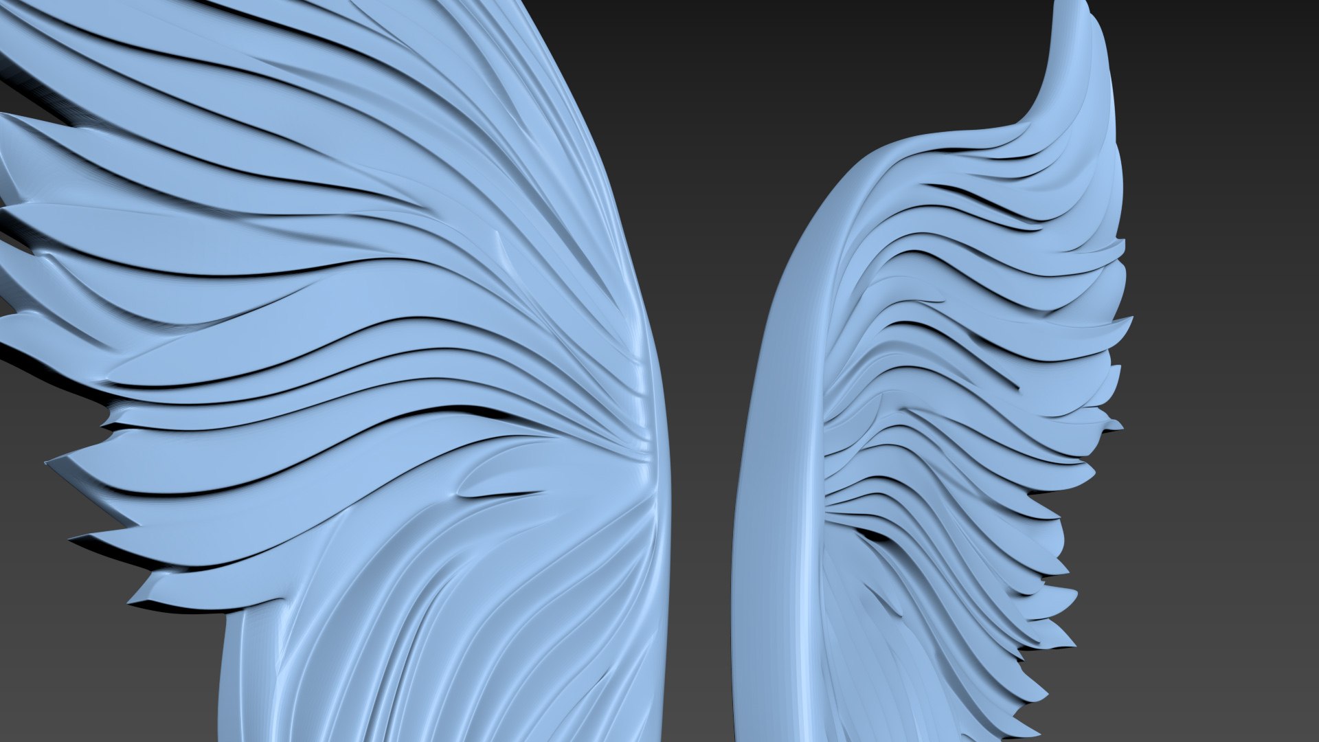 3D Wings Model - TurboSquid 2210142