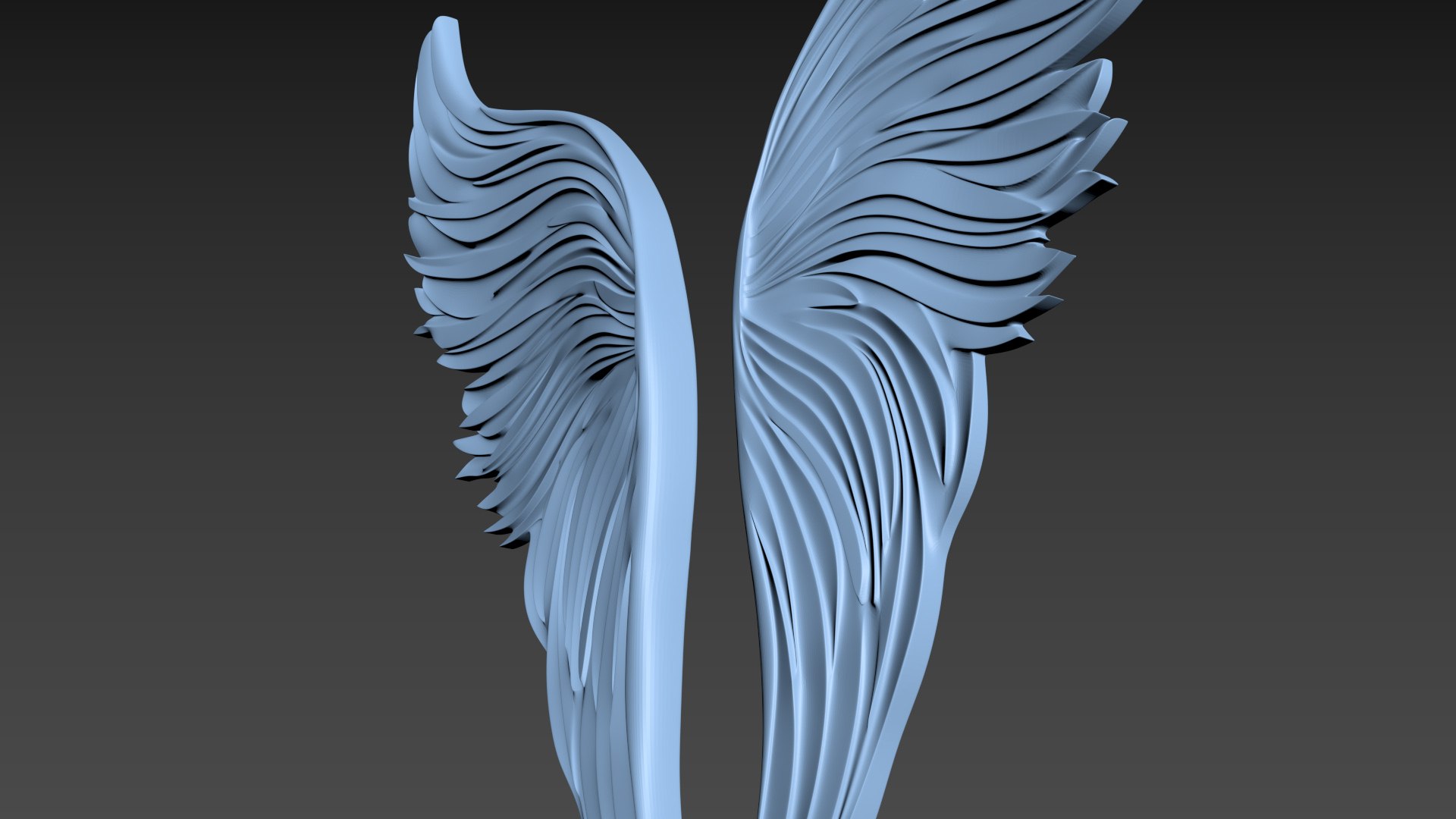 3D Wings Model - TurboSquid 2210142