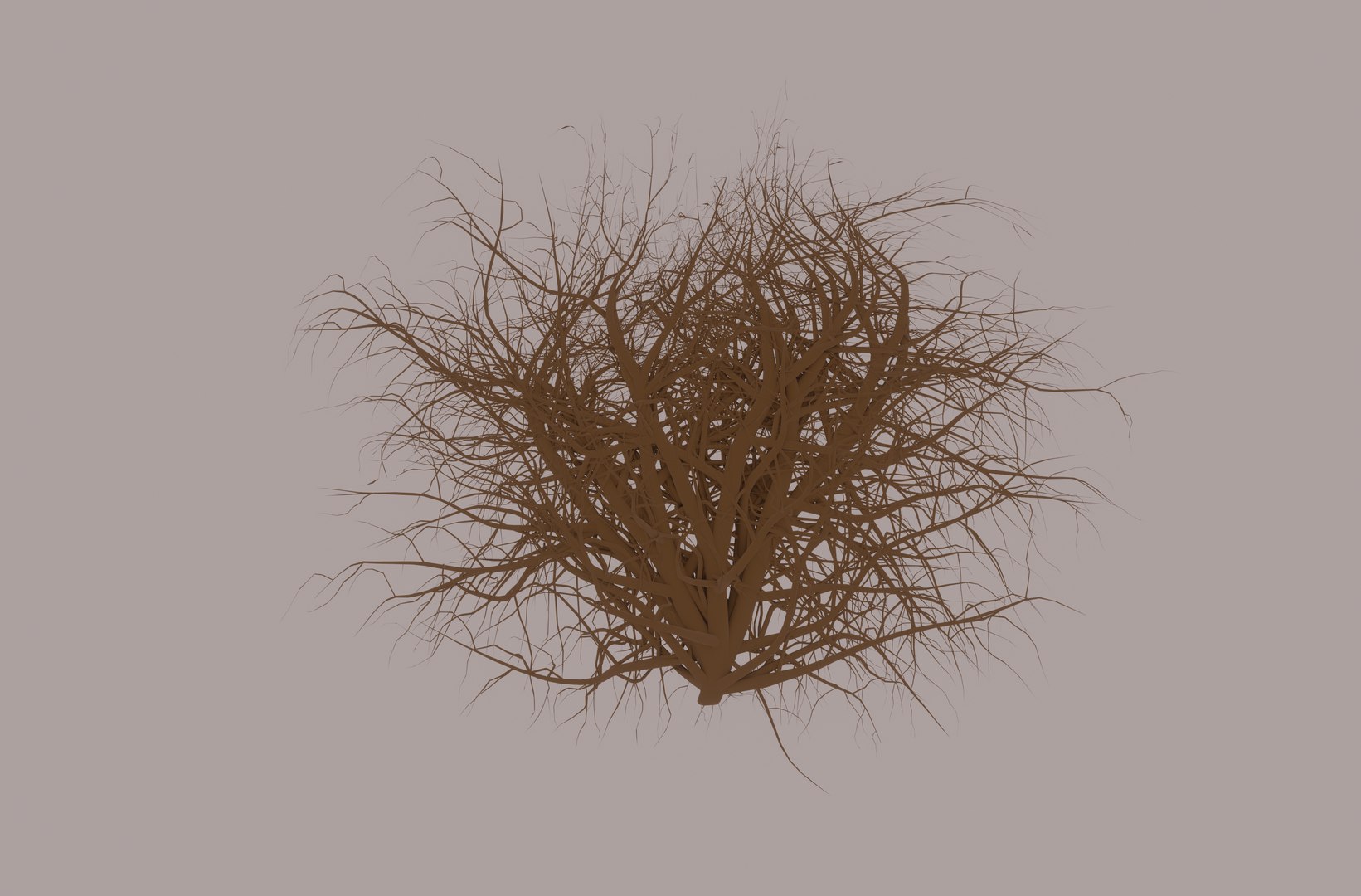 Tumbleweed Model - TurboSquid 2197121