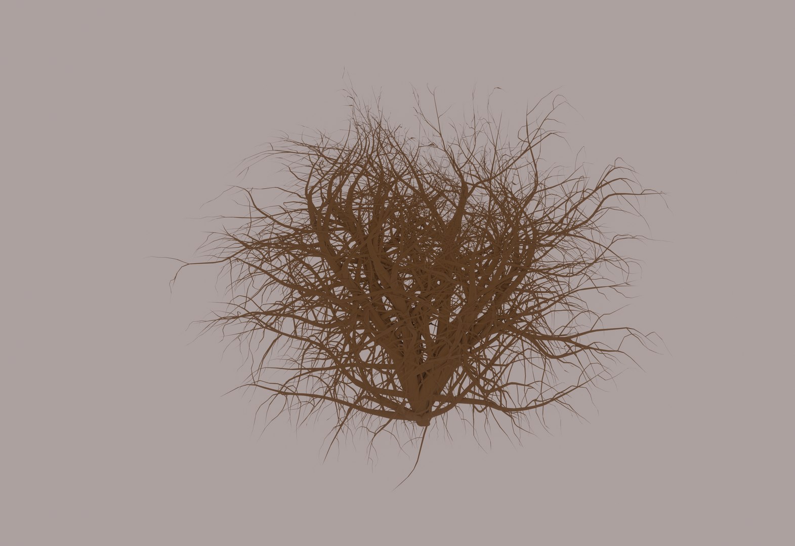 Tumbleweed Model - TurboSquid 2197121