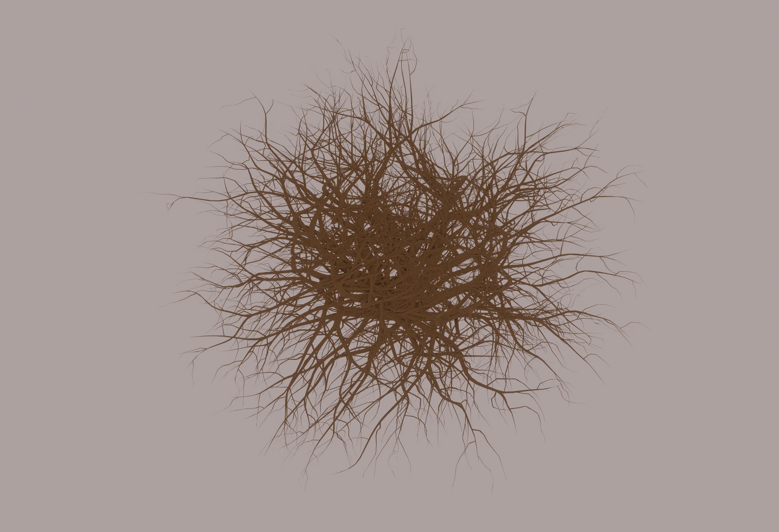 Tumbleweed Model - TurboSquid 2197121