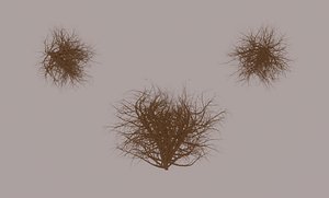 Tumbleweed Polys 3D Model - TurboSquid 1517576
