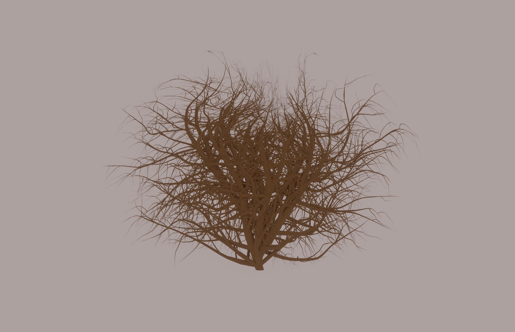 Tumbleweed Model - TurboSquid 2197121