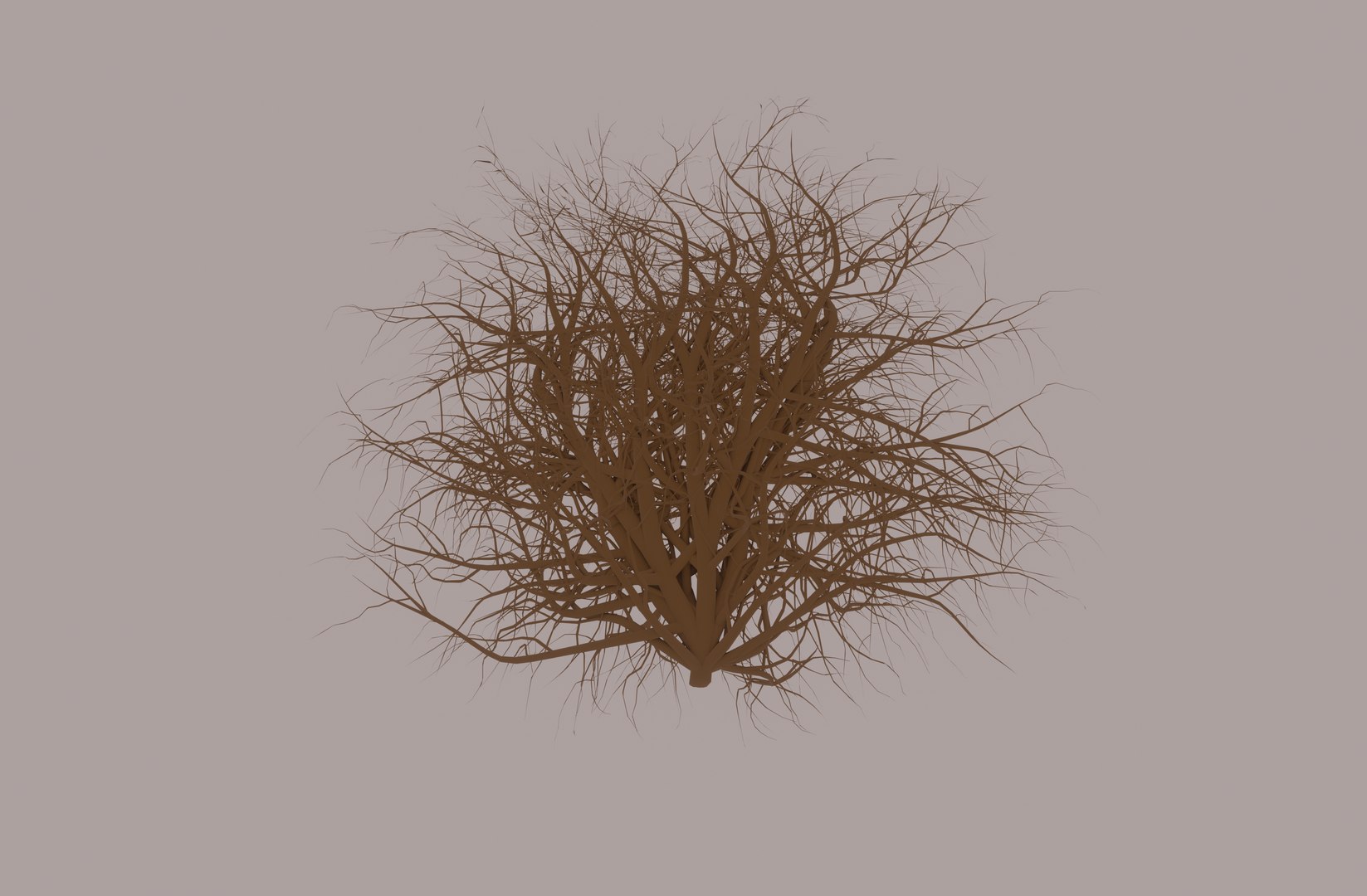 Tumbleweed Model - TurboSquid 2197121