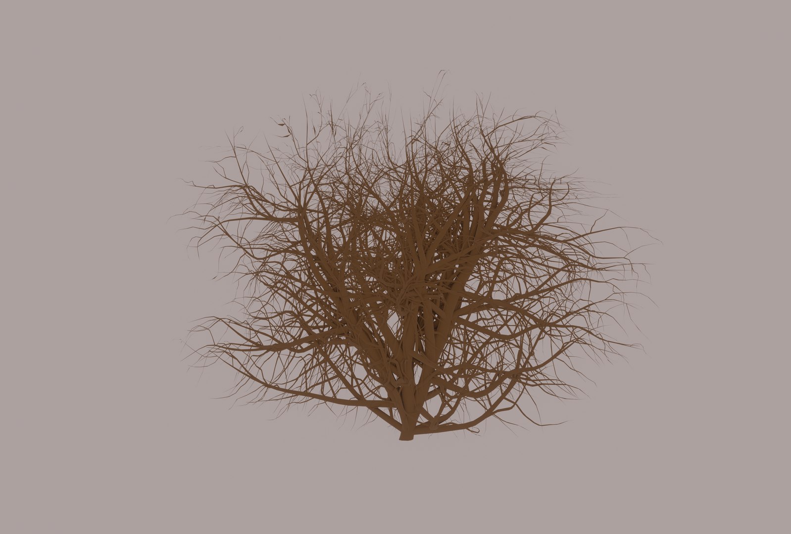 Tumbleweed Model - TurboSquid 2197121
