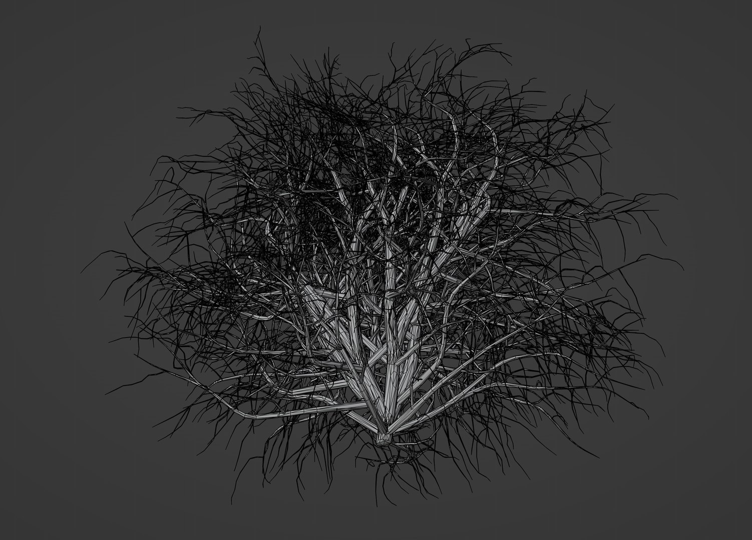 Tumbleweed Model - TurboSquid 2197121