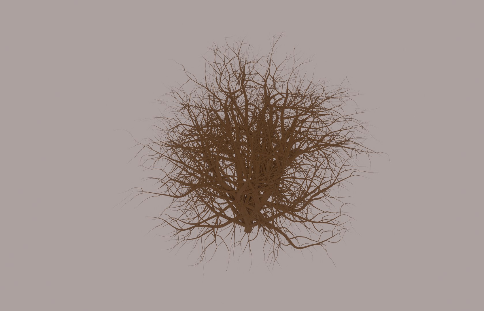 Tumbleweed Model - TurboSquid 2197121