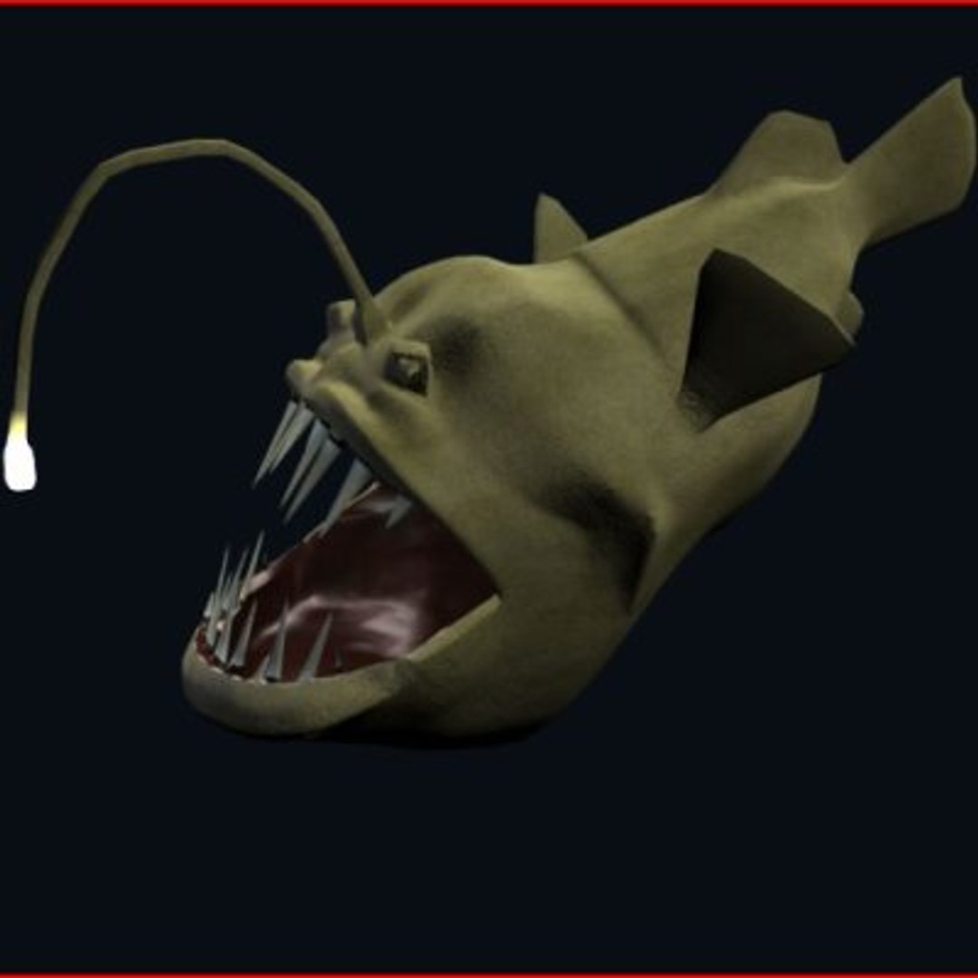 3d Angler Fish