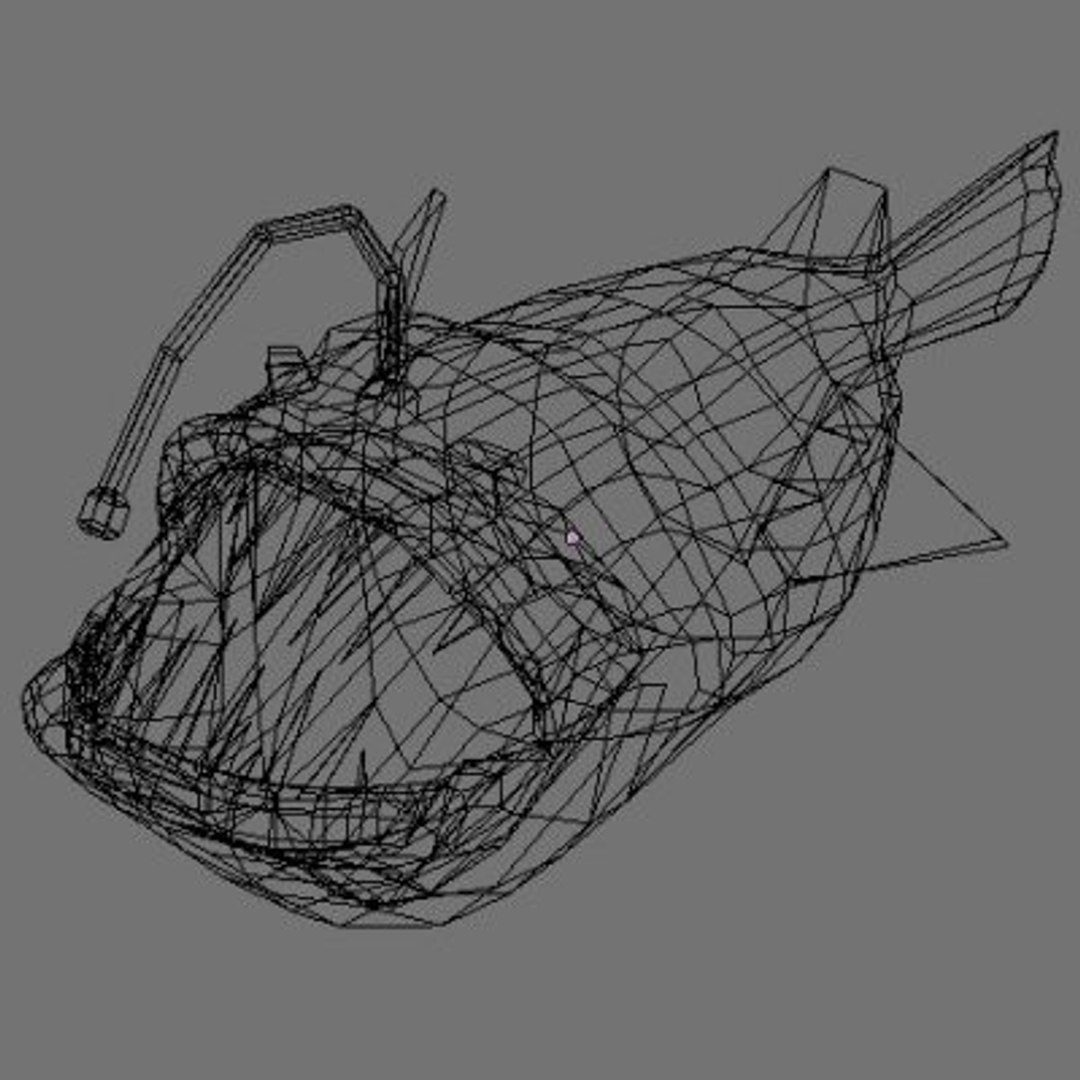 3d Angler Fish