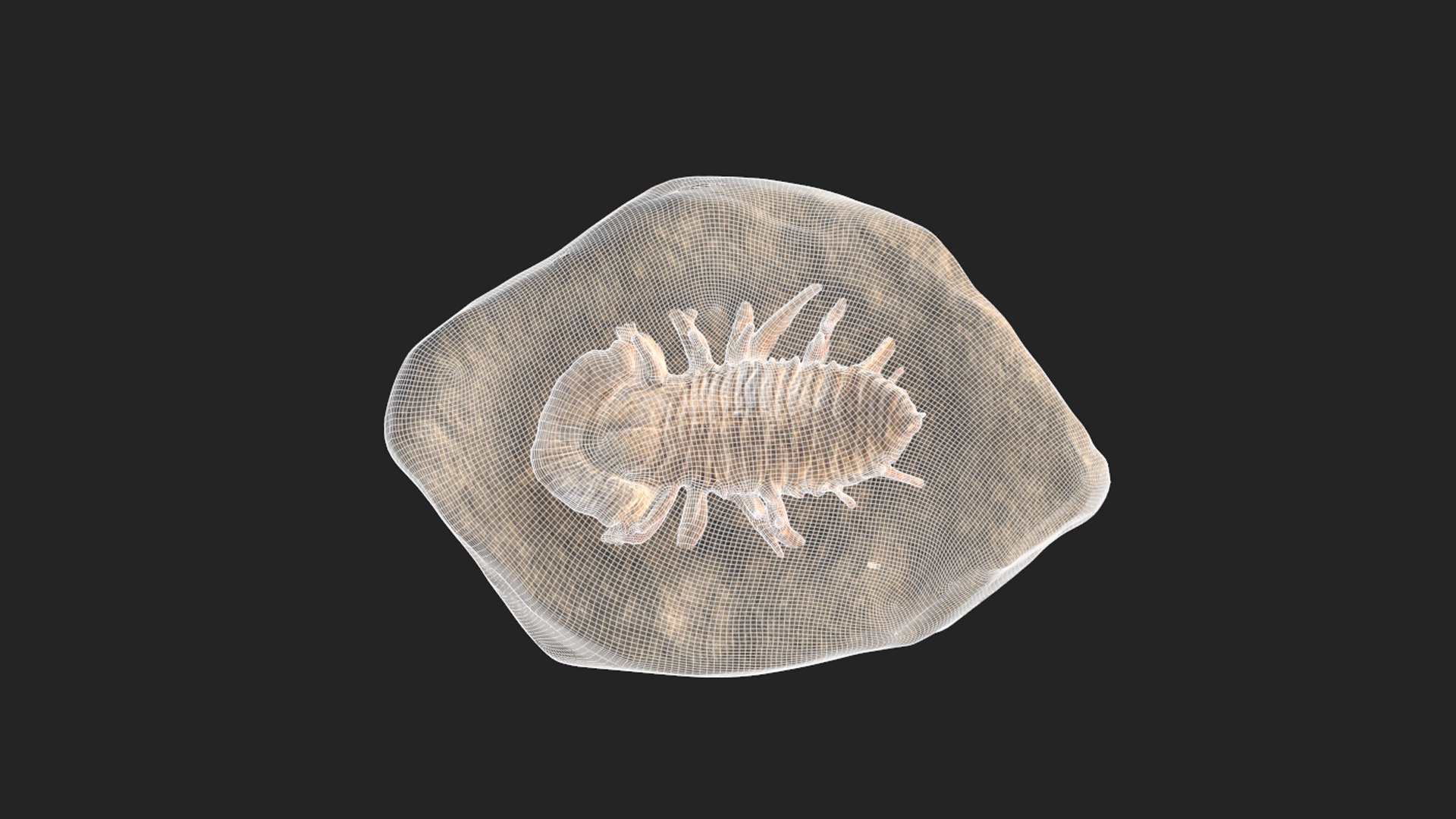 3D Model Ancient Fossil Prehistoric Animal - TurboSquid 2341077