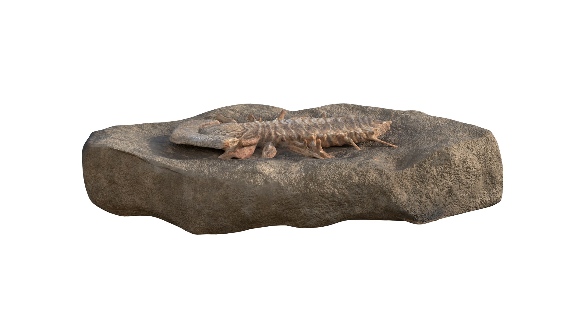 3D Model Ancient Fossil Prehistoric Animal - TurboSquid 2341077