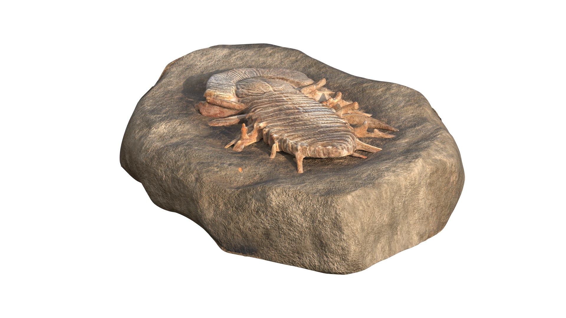 3D Model Ancient Fossil Prehistoric Animal - TurboSquid 2341077