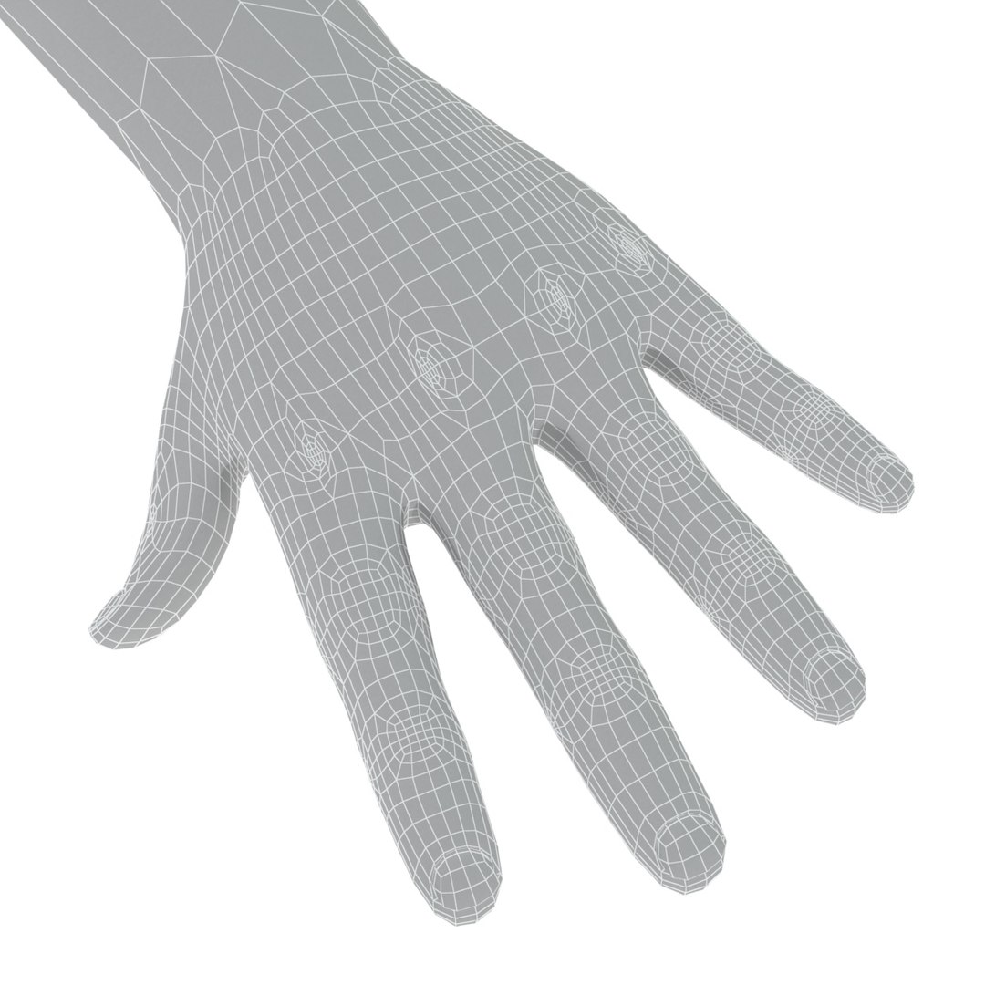 Free Hand Hdri Shader 3D Model - TurboSquid 1311775