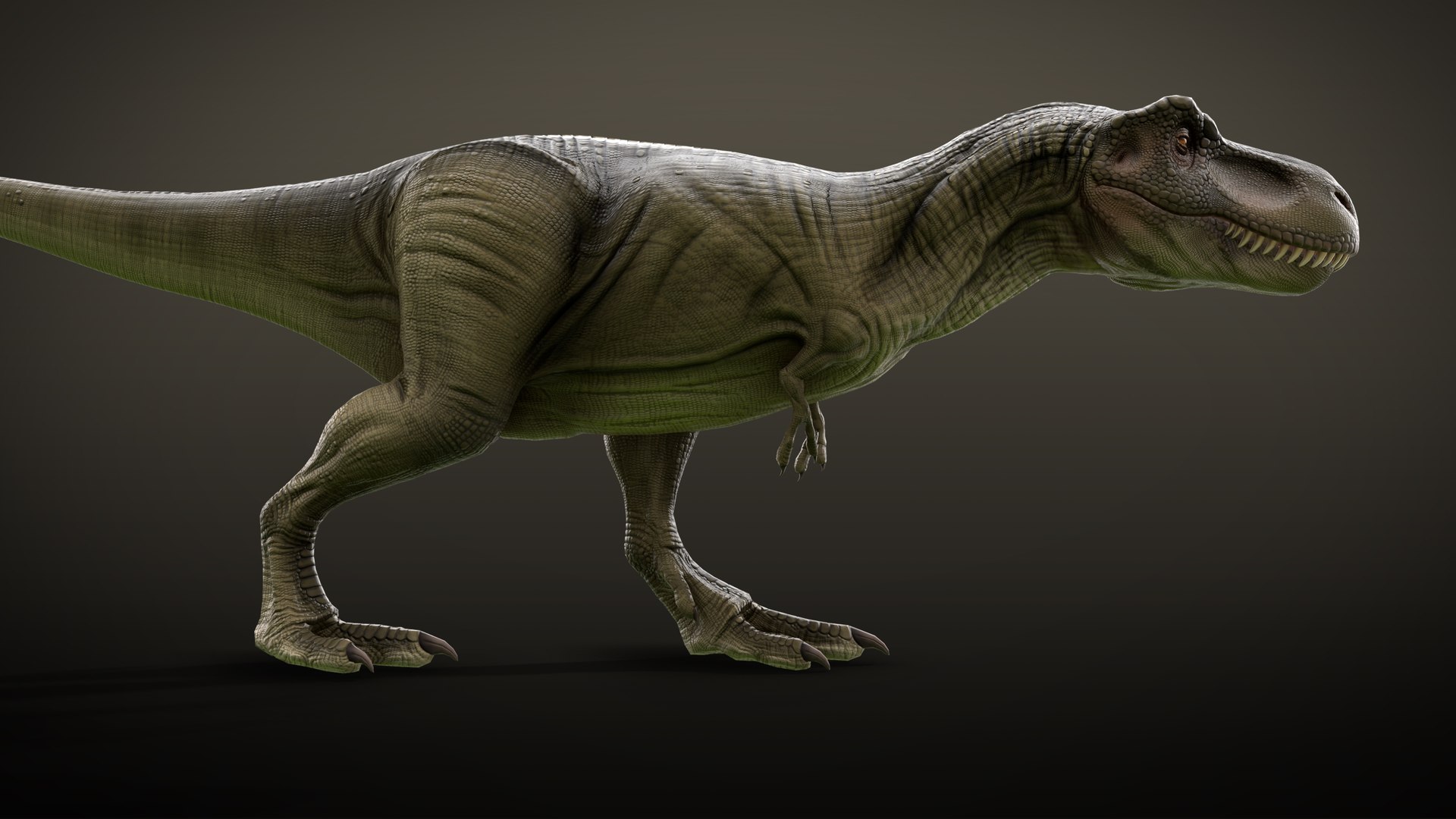 Rex Rigged 3D - TurboSquid 1455994