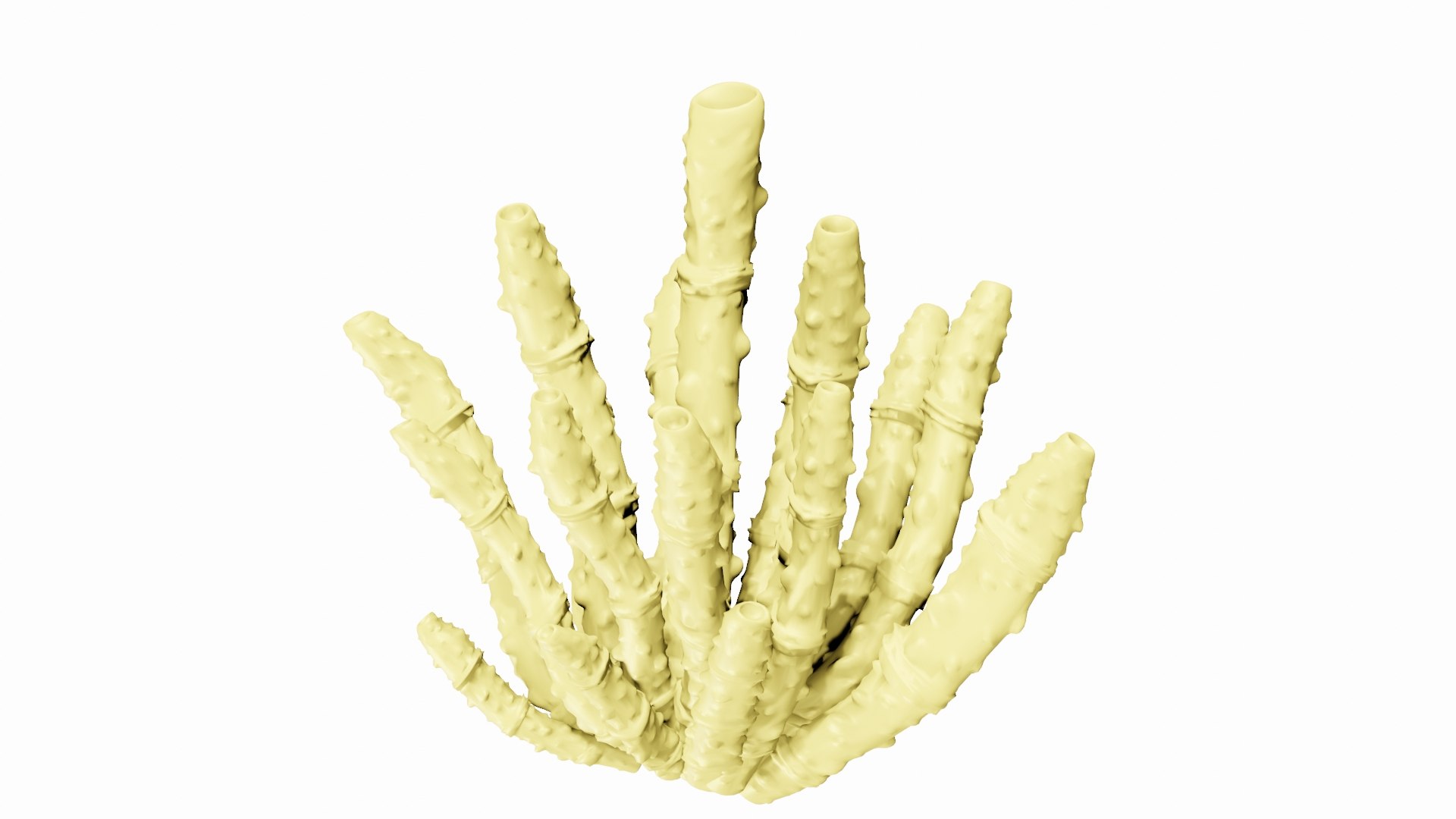 Tube Coral 3D Model - TurboSquid 1822259