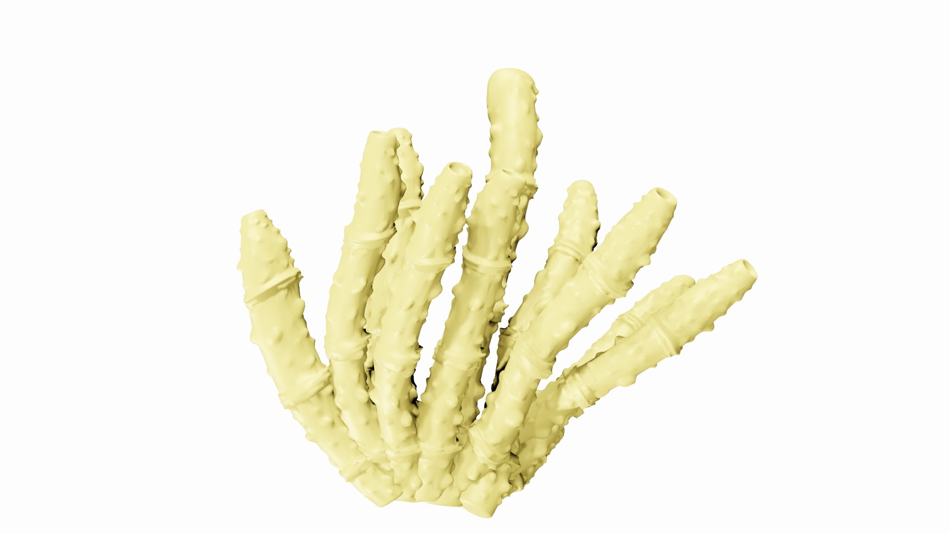 Tube Coral 3D Model - TurboSquid 1822259