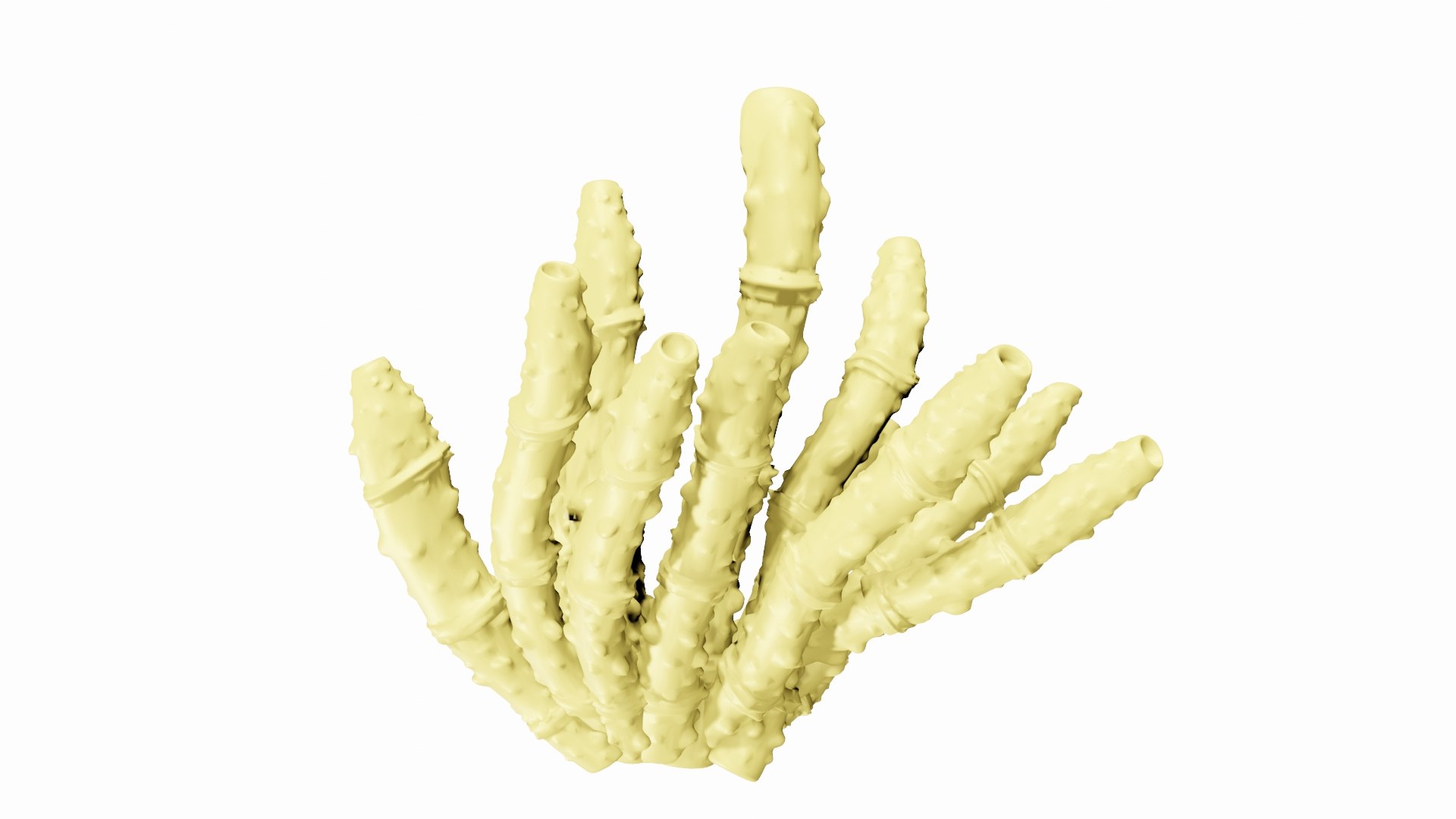 Tube Coral 3D Model - TurboSquid 1822259