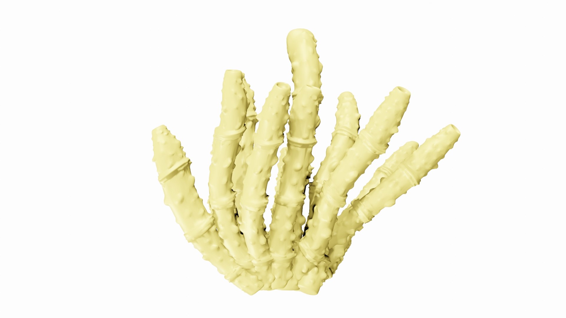 Tube Coral 3D Model - TurboSquid 1822259