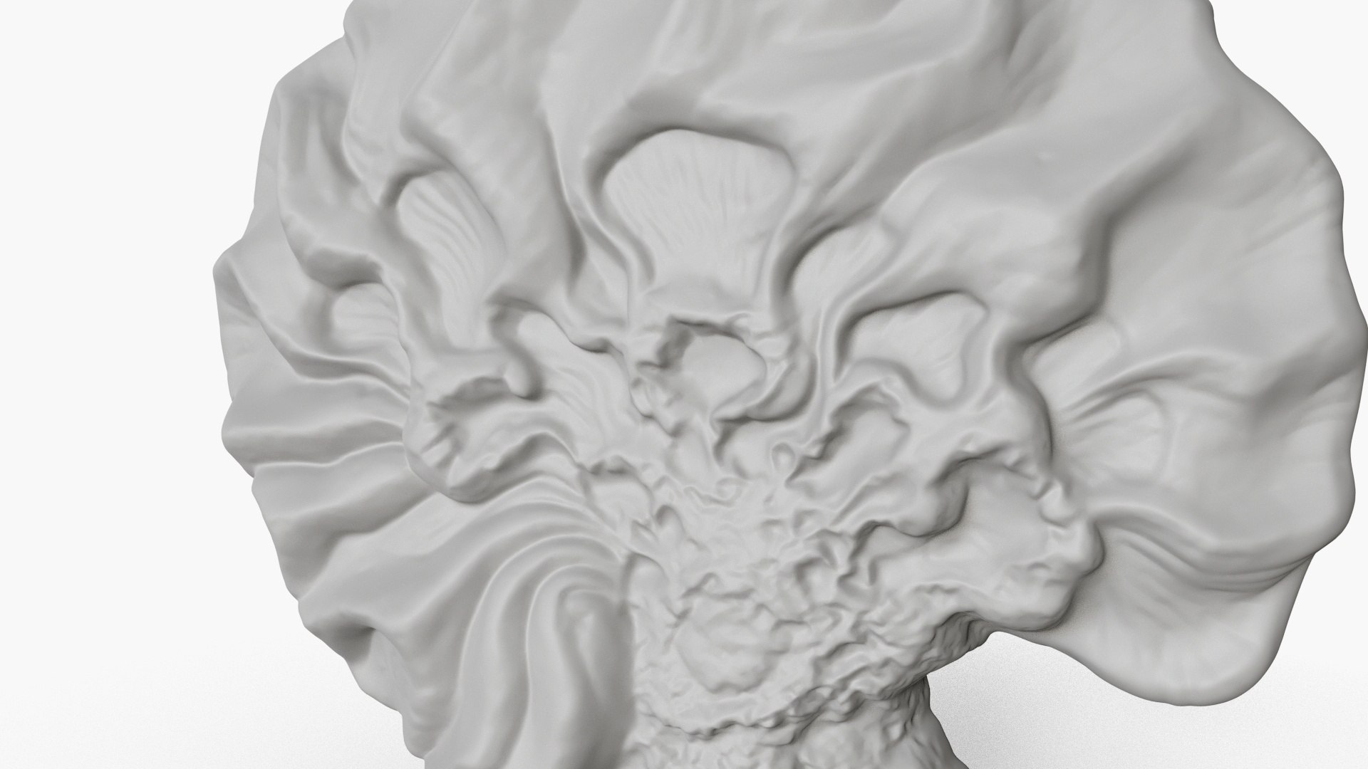 3D Fungus Fossil 17 Model - TurboSquid 2298588