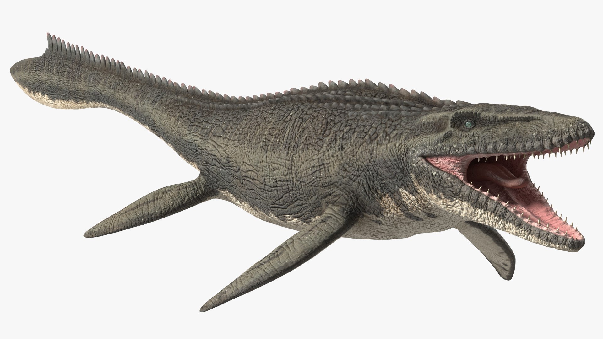 Mosasaurus Rigged For Modo 3D - TurboSquid 1944898