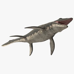 Mosasaurus 3D Models for Download | TurboSquid