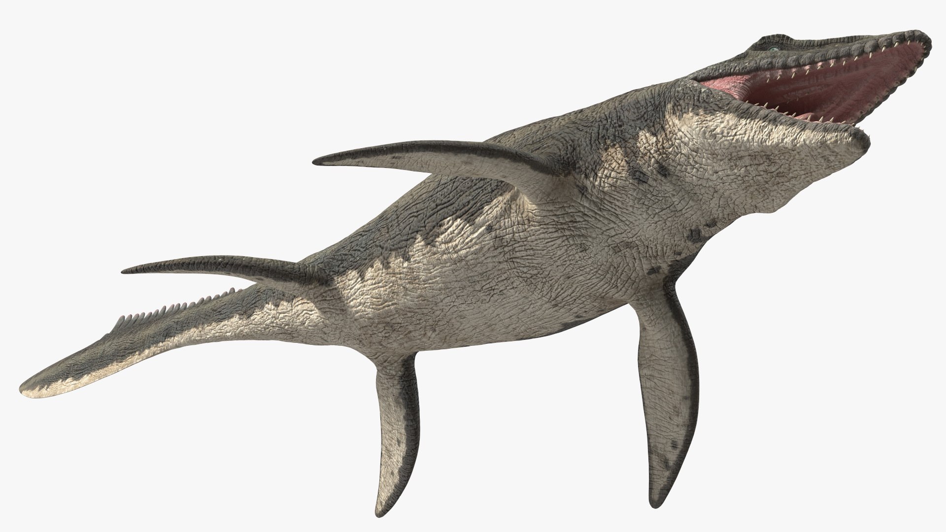 Mosasaurus Rigged For Modo 3D - TurboSquid 1944898