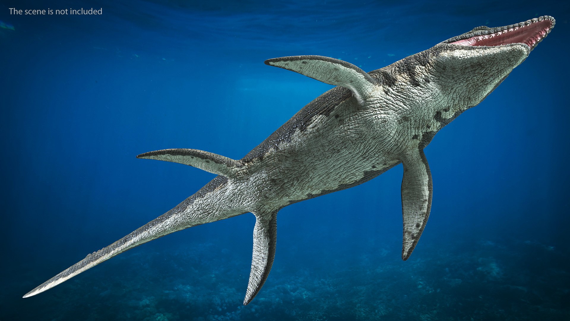 Mosasaurus Rigged For Modo 3D - TurboSquid 1944898