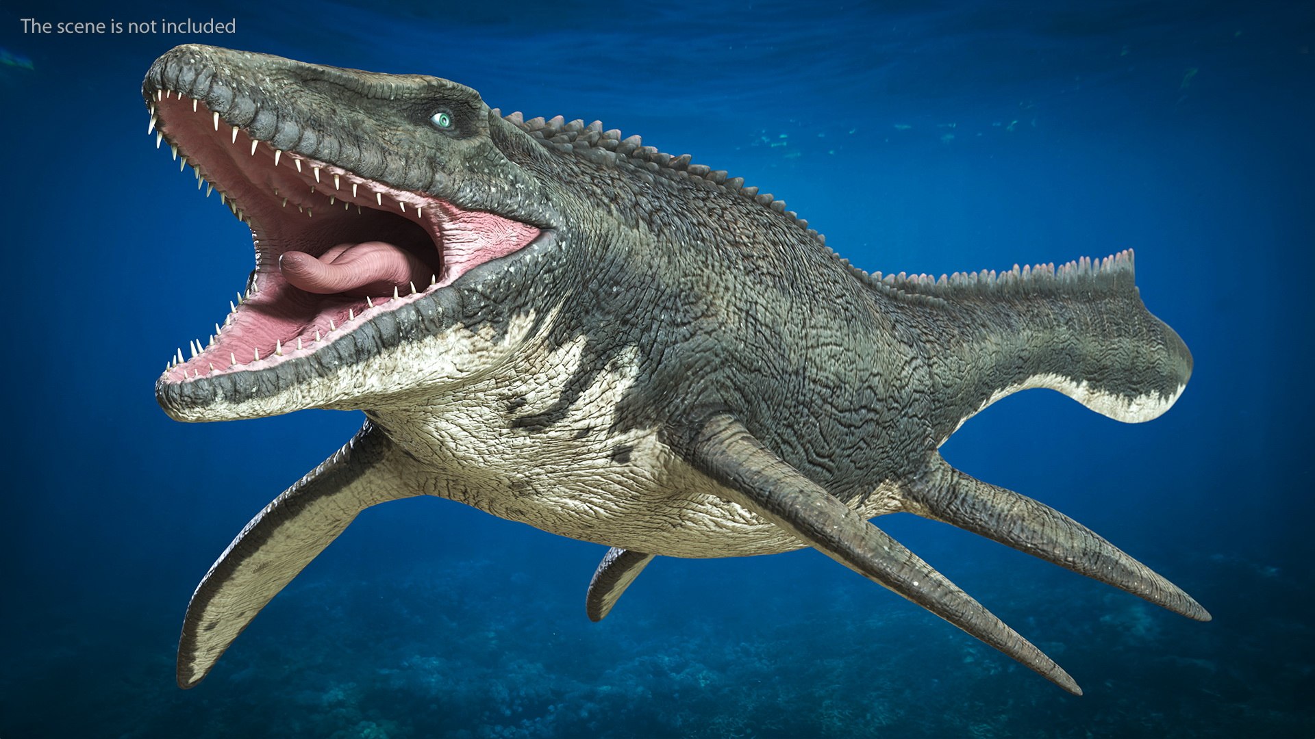 Mosasaurus Rigged For Modo 3D - TurboSquid 1944898