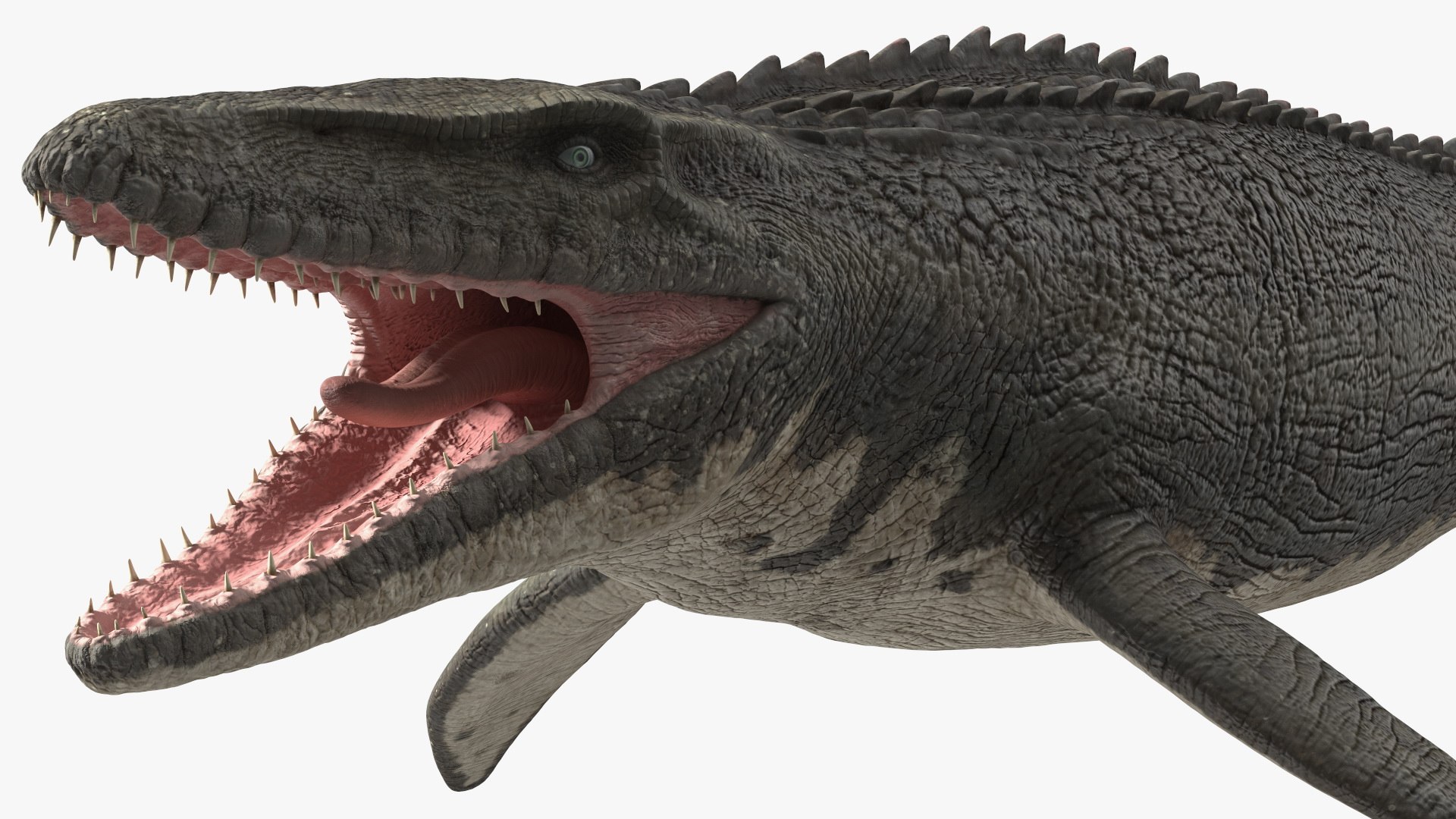 Mosasaurus Rigged For Modo 3D - TurboSquid 1944898