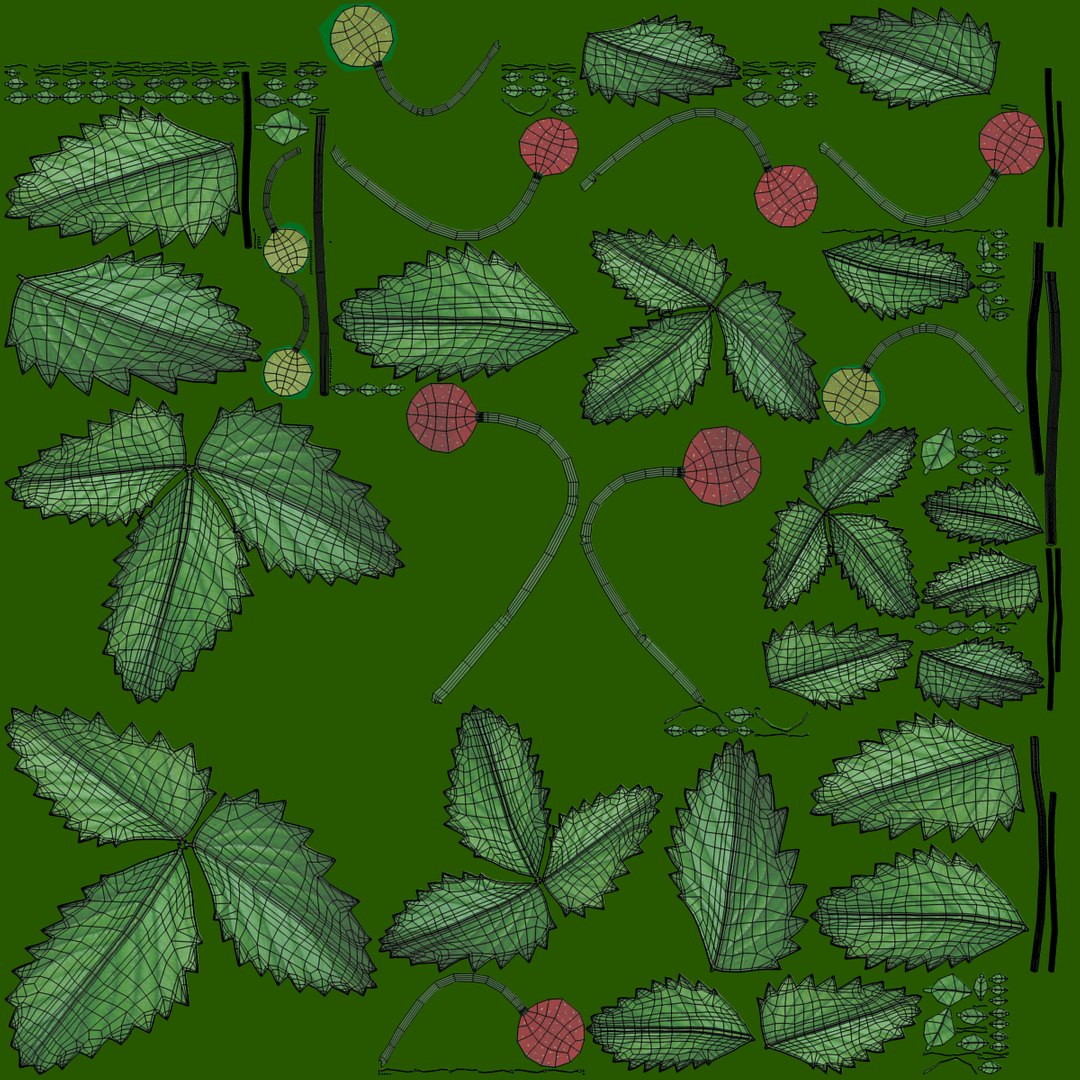 3D Wild Strawberry Plant Model - TurboSquid 1300930
