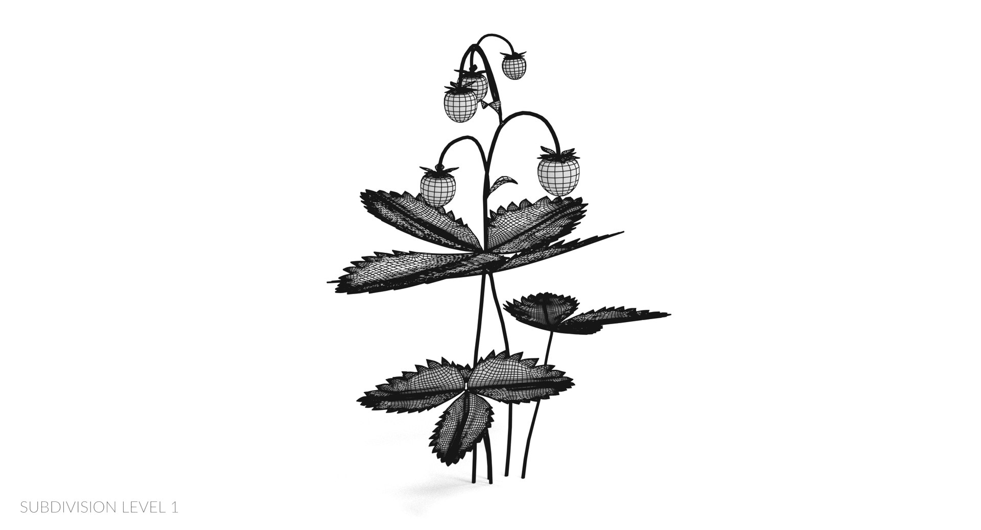 3D Wild Strawberry Plant Model - TurboSquid 1300930