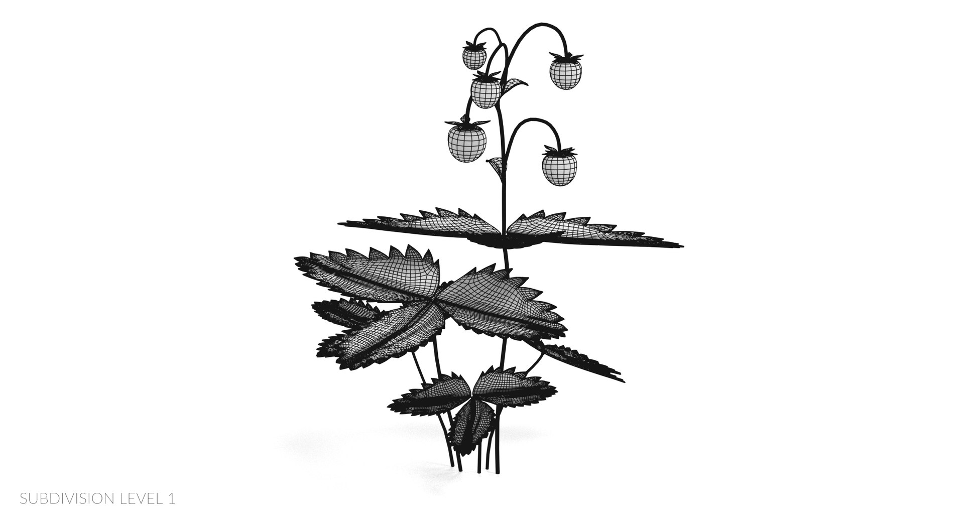 3D Wild Strawberry Plant Model - TurboSquid 1300930