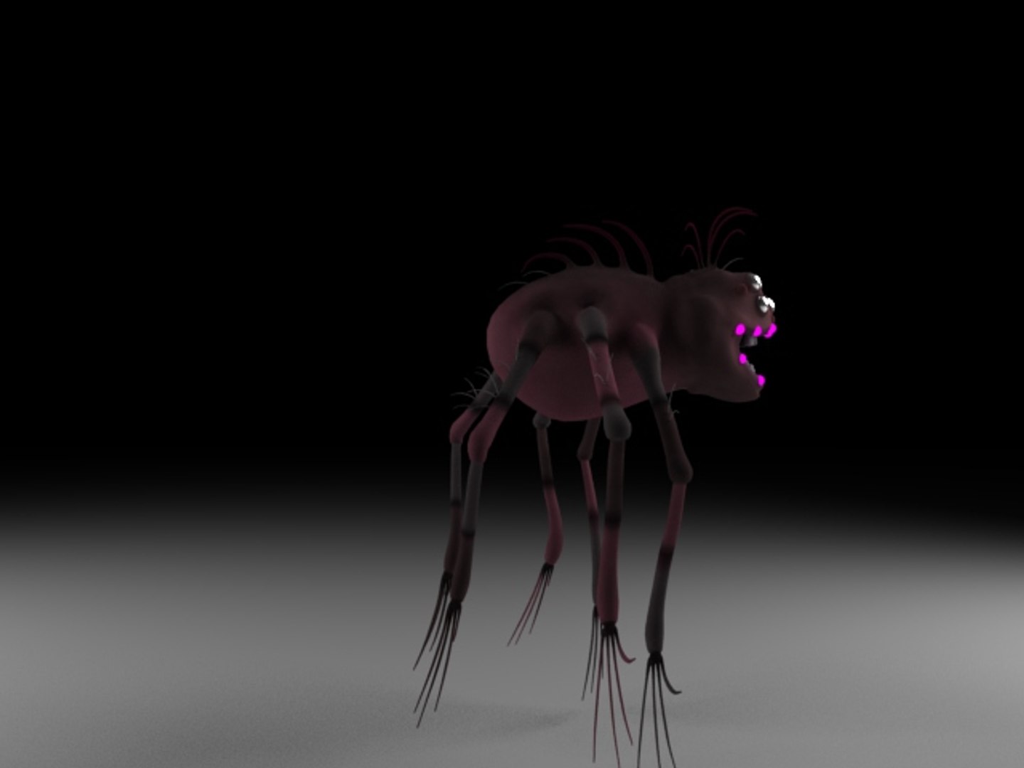 Free Spider Animal Model - TurboSquid 1656105