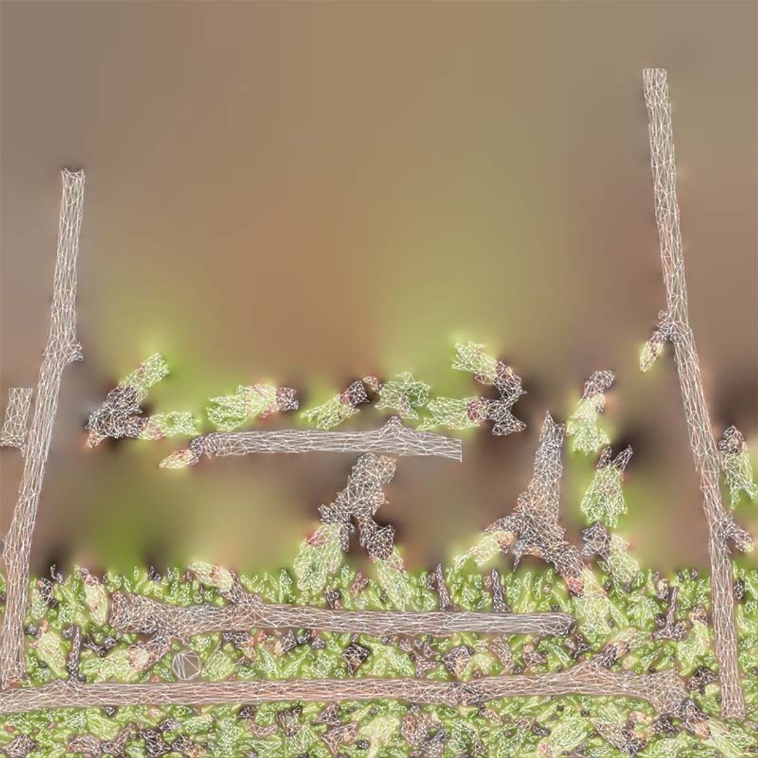 Syringa Vulgaris Common Lilac Oleaceae Sprout Remastered 3D Model ...