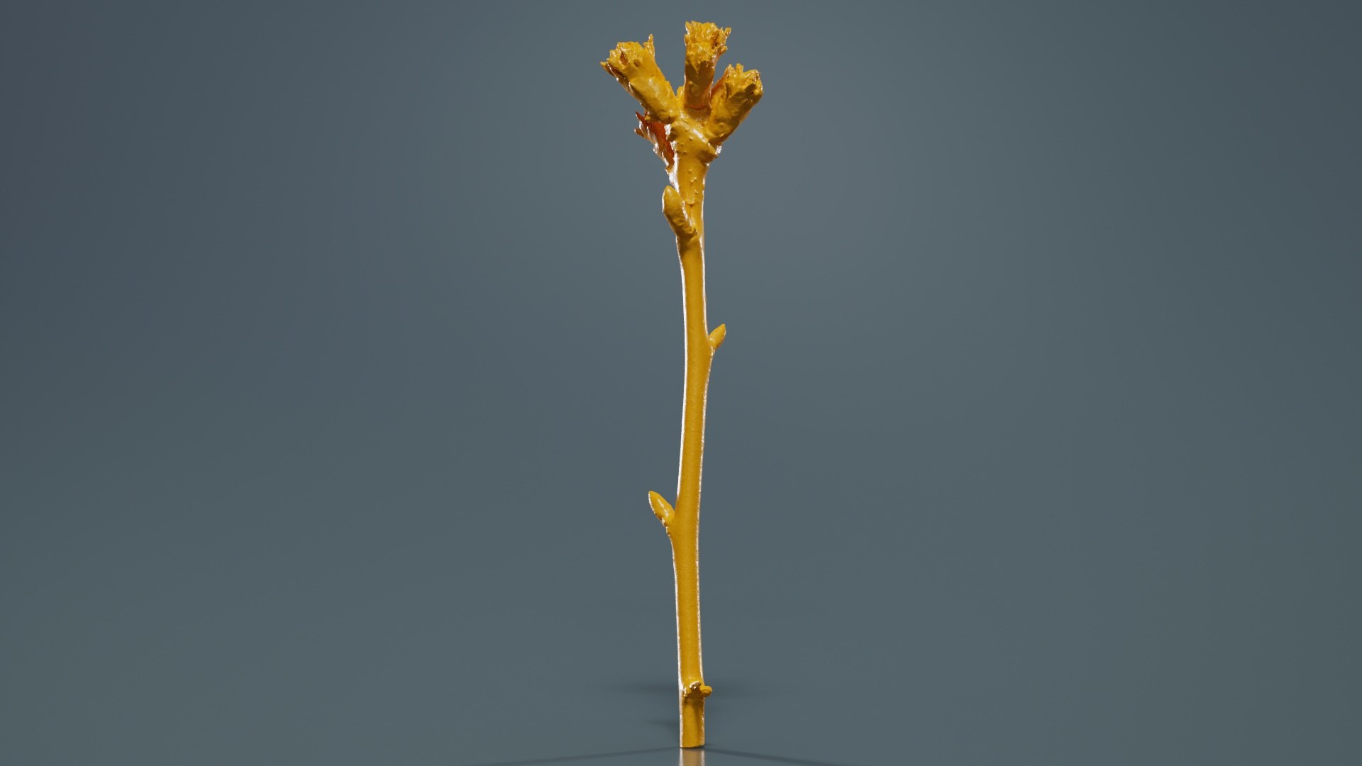 Syringa Vulgaris Common Lilac Oleaceae Sprout Remastered 3D Model ...