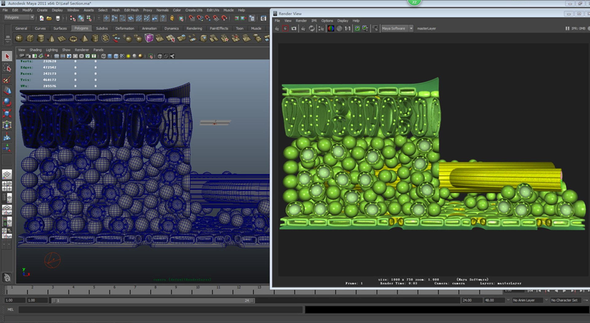 Leaf Section 3d Model