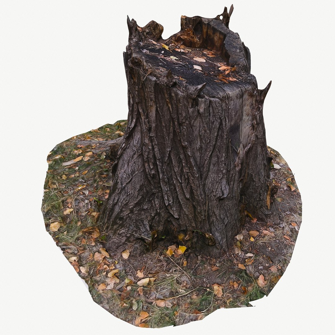 3D Scan Bpr Tree Stump - TurboSquid 1636775