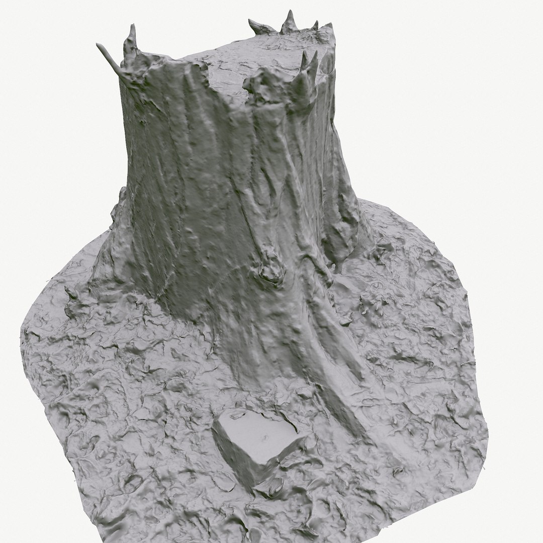 3D Scan Bpr Tree Stump - TurboSquid 1636775