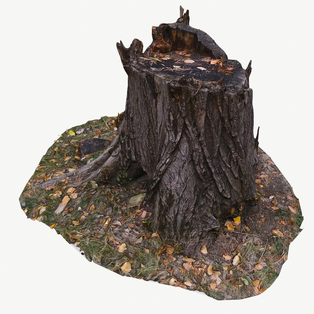 3D Scan Bpr Tree Stump - TurboSquid 1636775