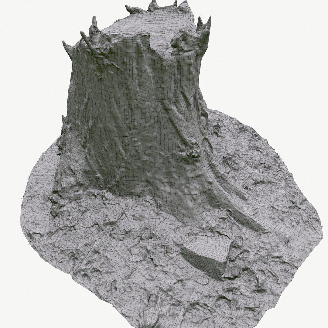 3D Scan Bpr Tree Stump - TurboSquid 1636775