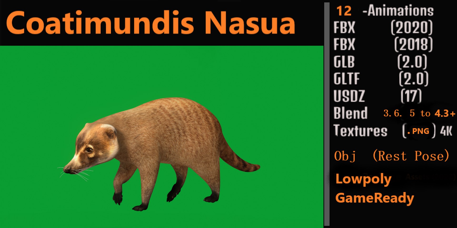 Coatimundis Nasus 3D Model - TurboSquid 2365452