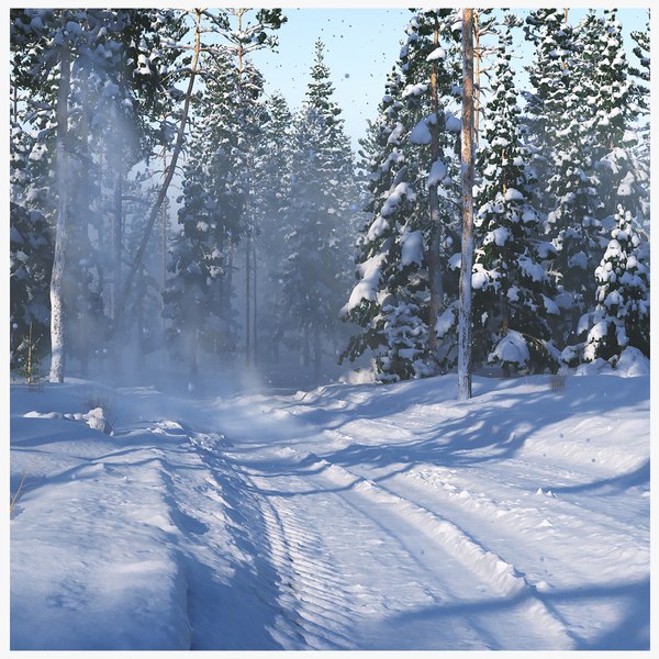 Forest 3D Models for Download | TurboSquid