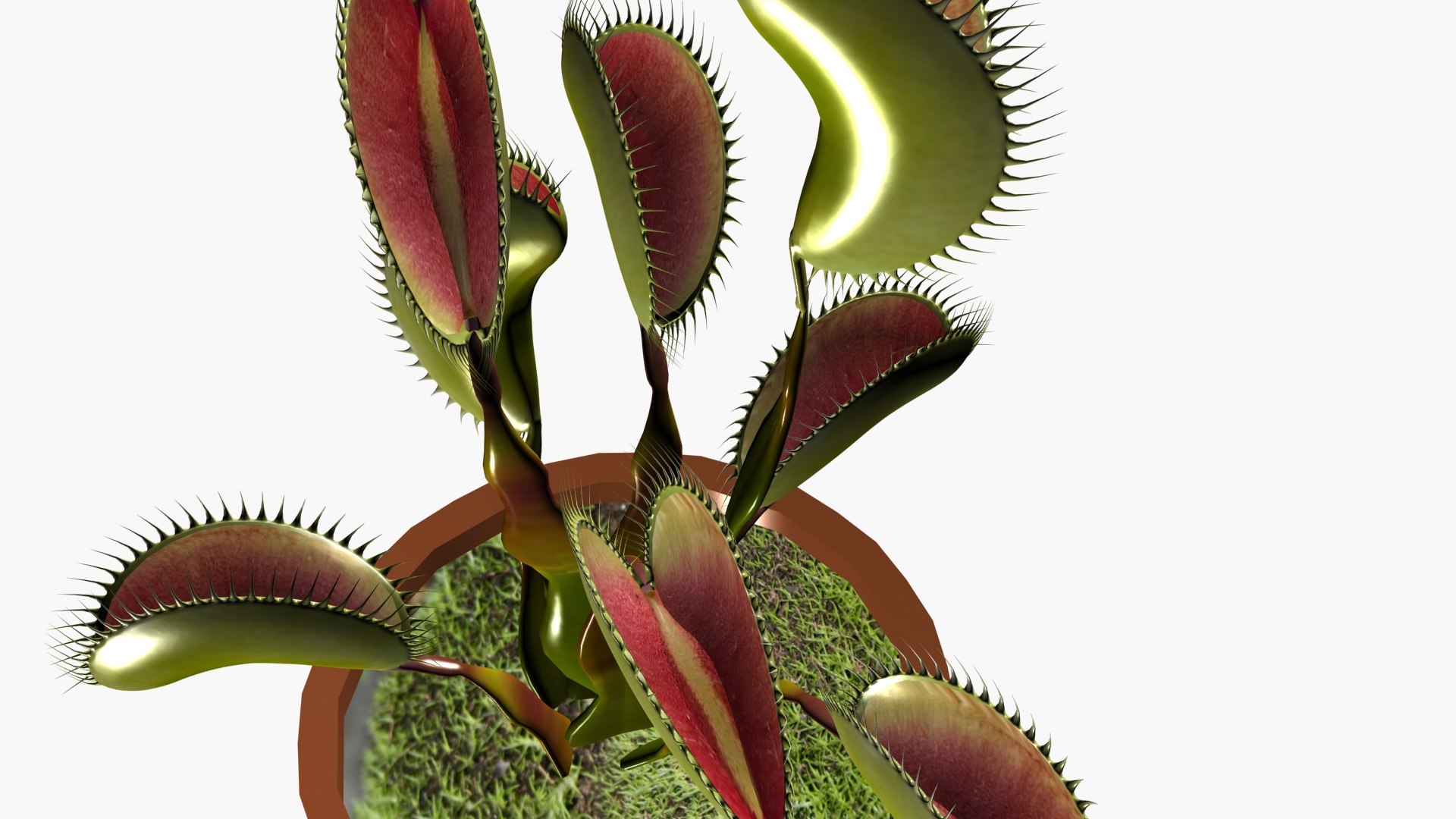 3D Model Venus Flytrap - TurboSquid 2224079