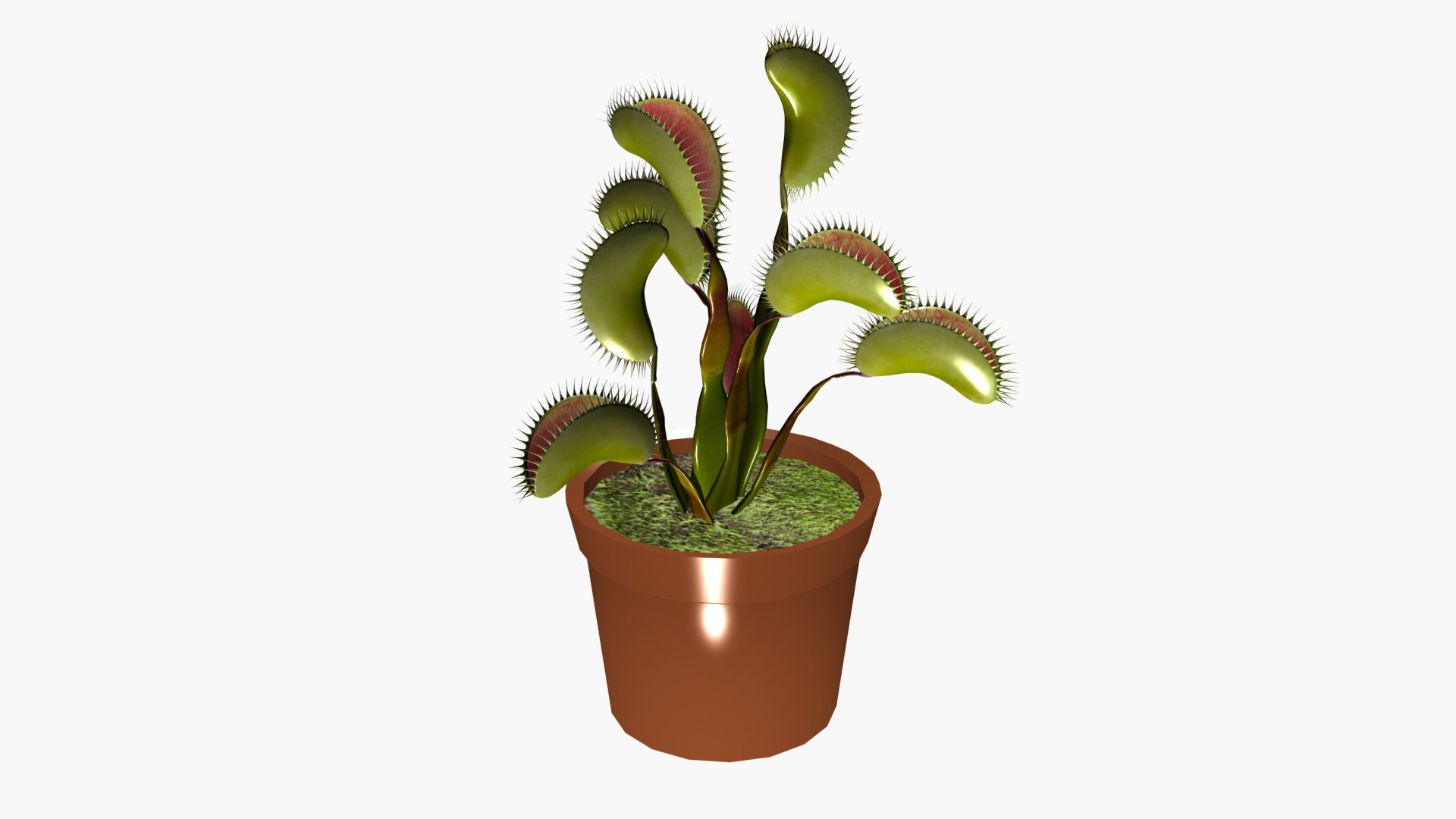 3D Model Venus Flytrap - TurboSquid 2224079