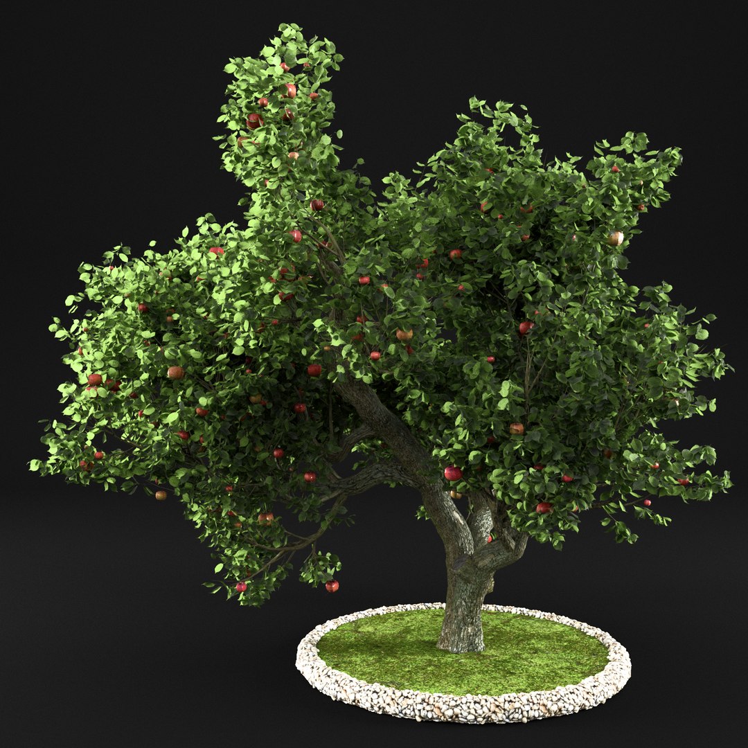 3D apple tree model - TurboSquid 1159251