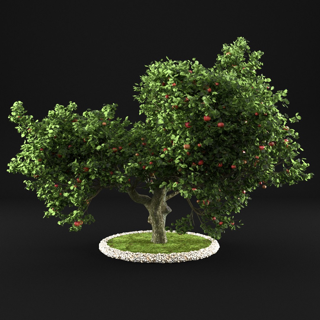 3D apple tree model - TurboSquid 1159251
