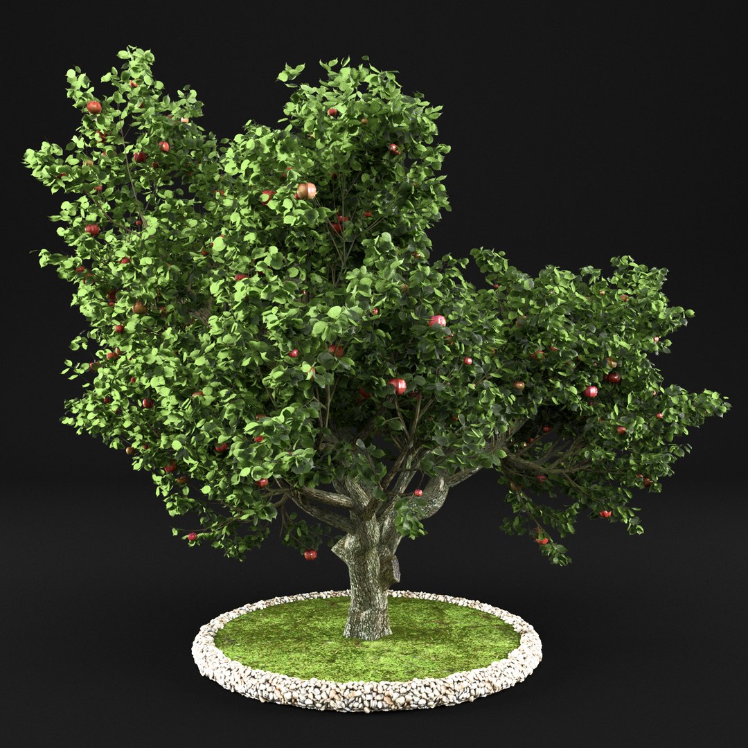 3D apple tree model - TurboSquid 1159251