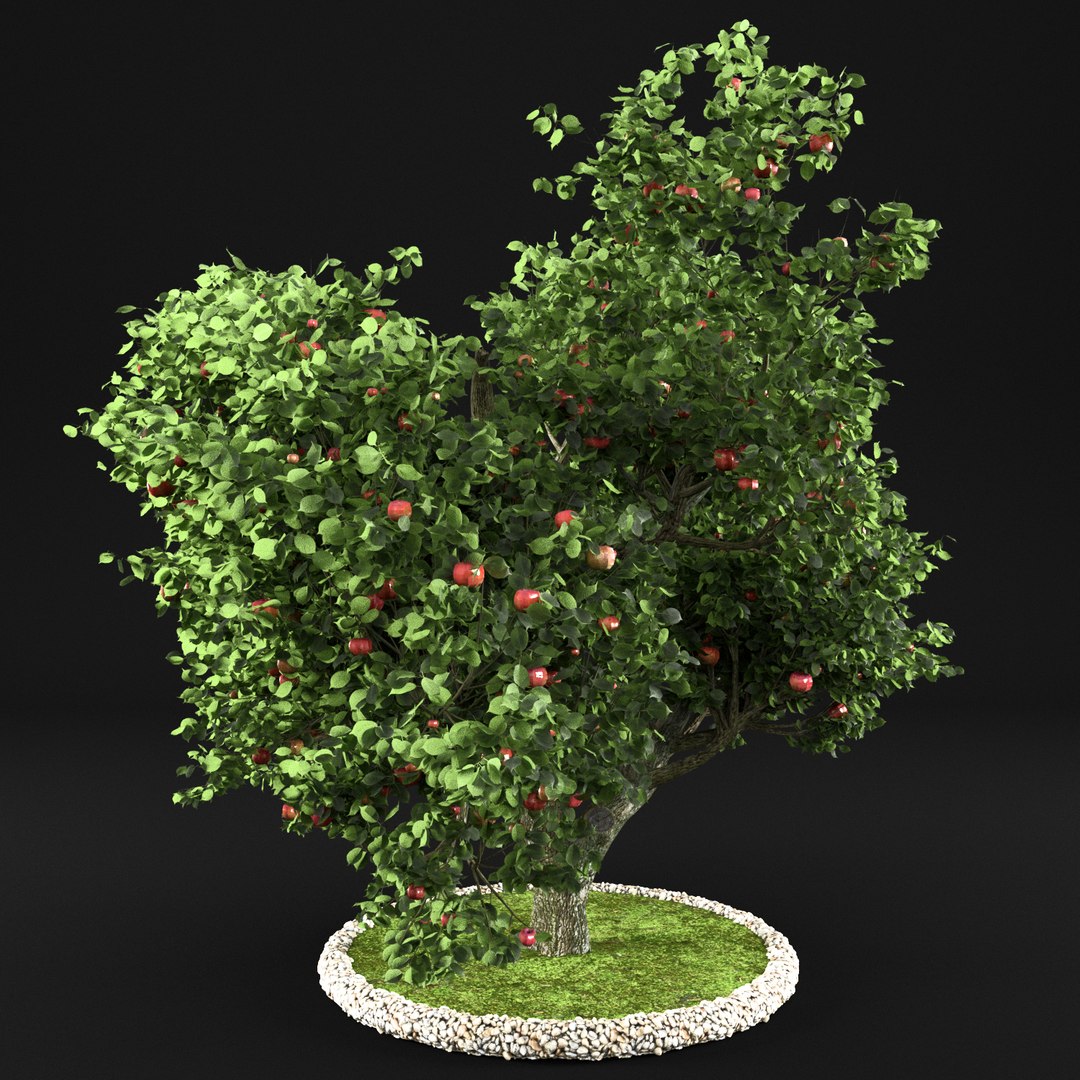 3D apple tree model - TurboSquid 1159251