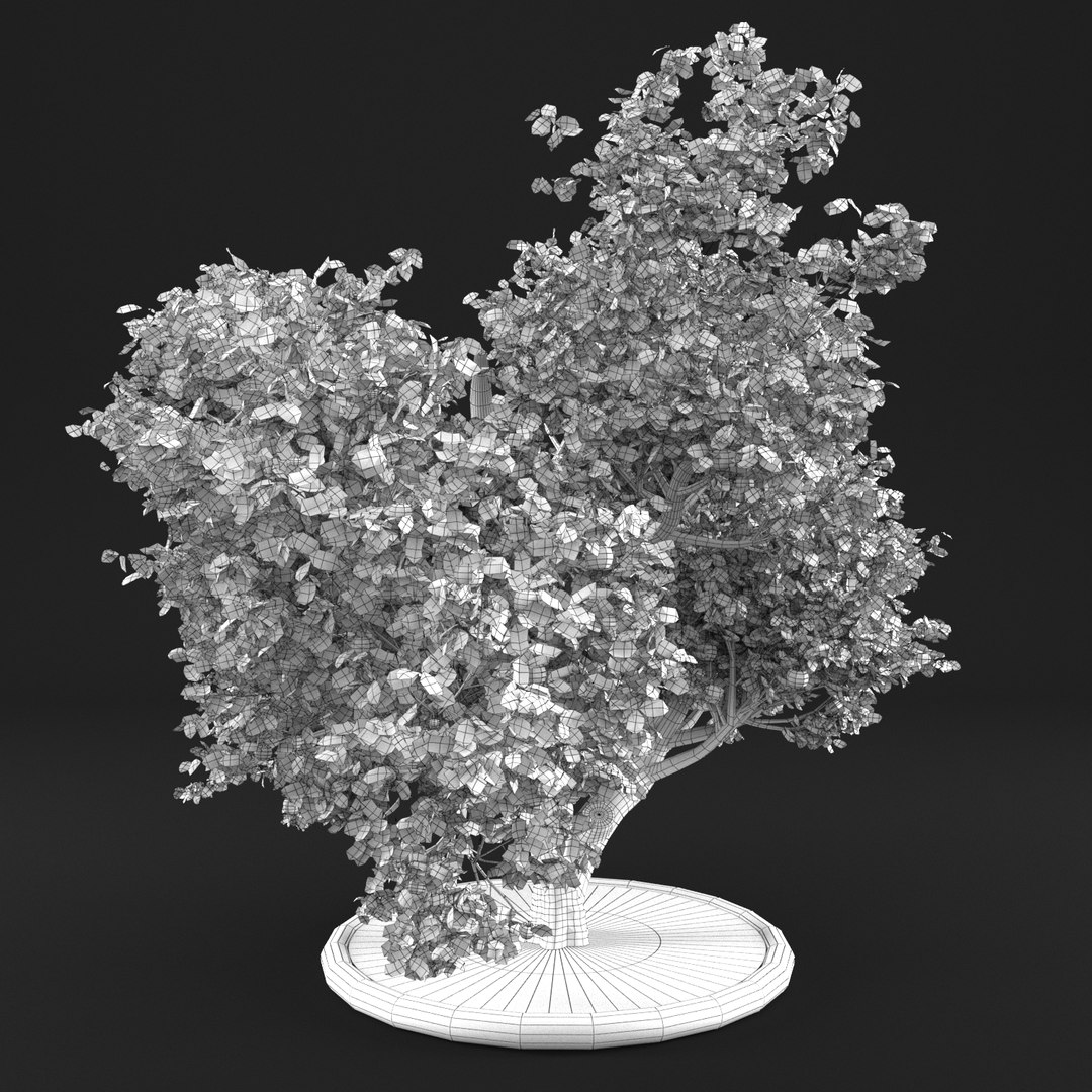 3D apple tree model - TurboSquid 1159251