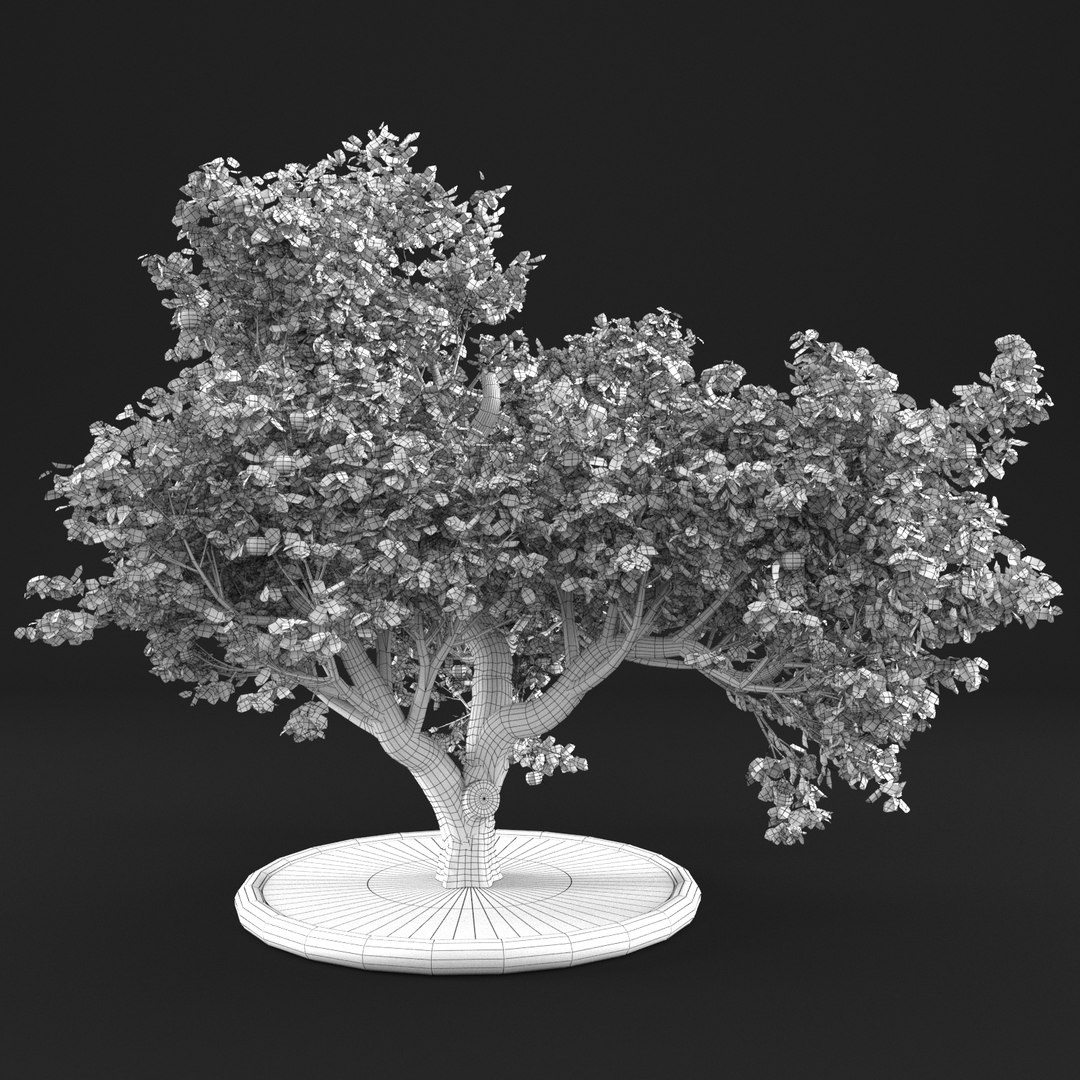 3D apple tree model - TurboSquid 1159251